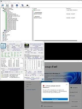 Windows 11 et TPM 2.0 : comment l'activer pour éviter la panique
